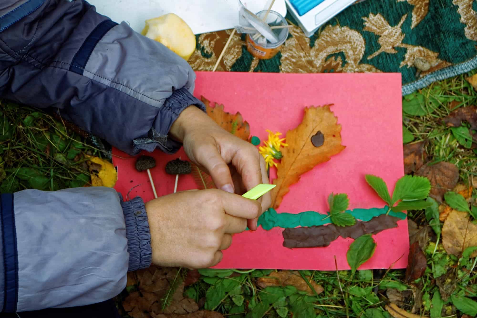 Nature Summer Camp Ideas: Activities for a Memorable Season - Summer ...