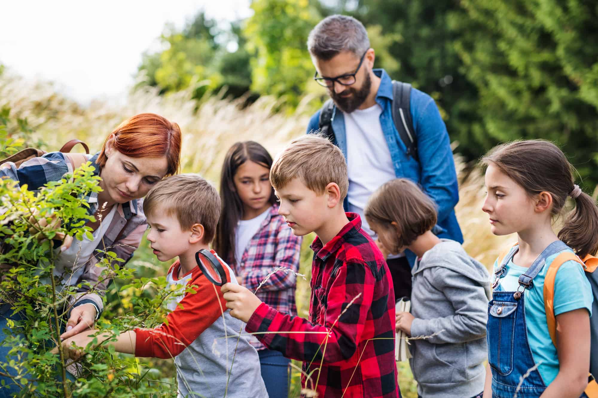 Nature Summer Camp Ideas: Activities for a Memorable Season - Summer ...
