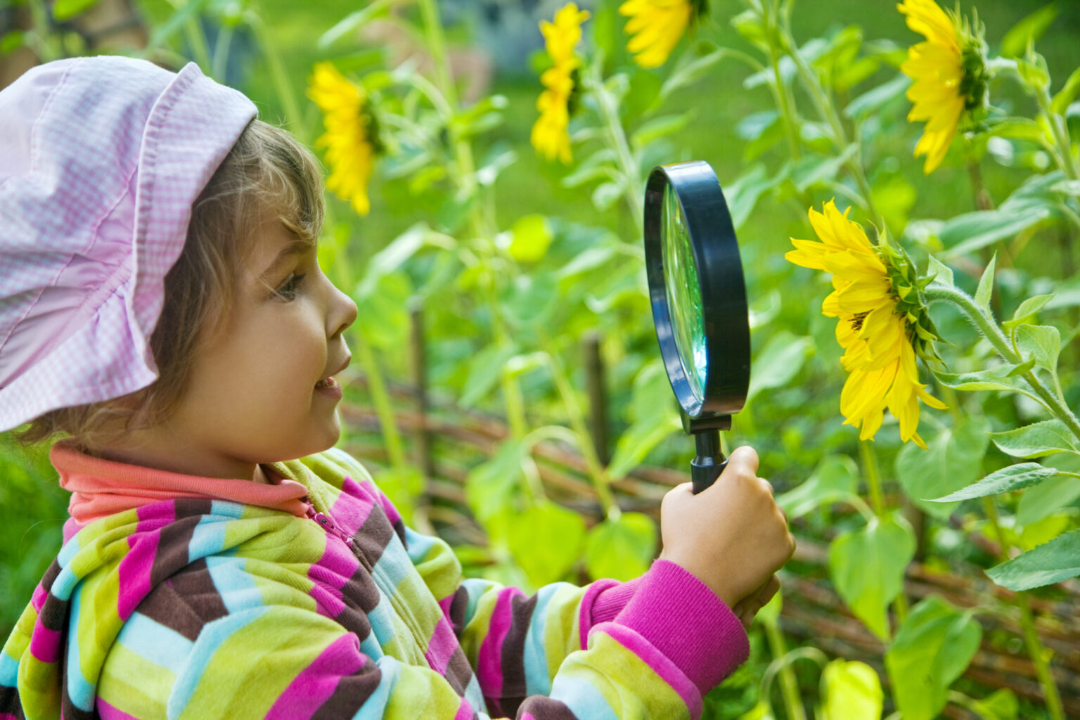 Nature Summer Camp Ideas: Activities for a Memorable Season - Summer ...
